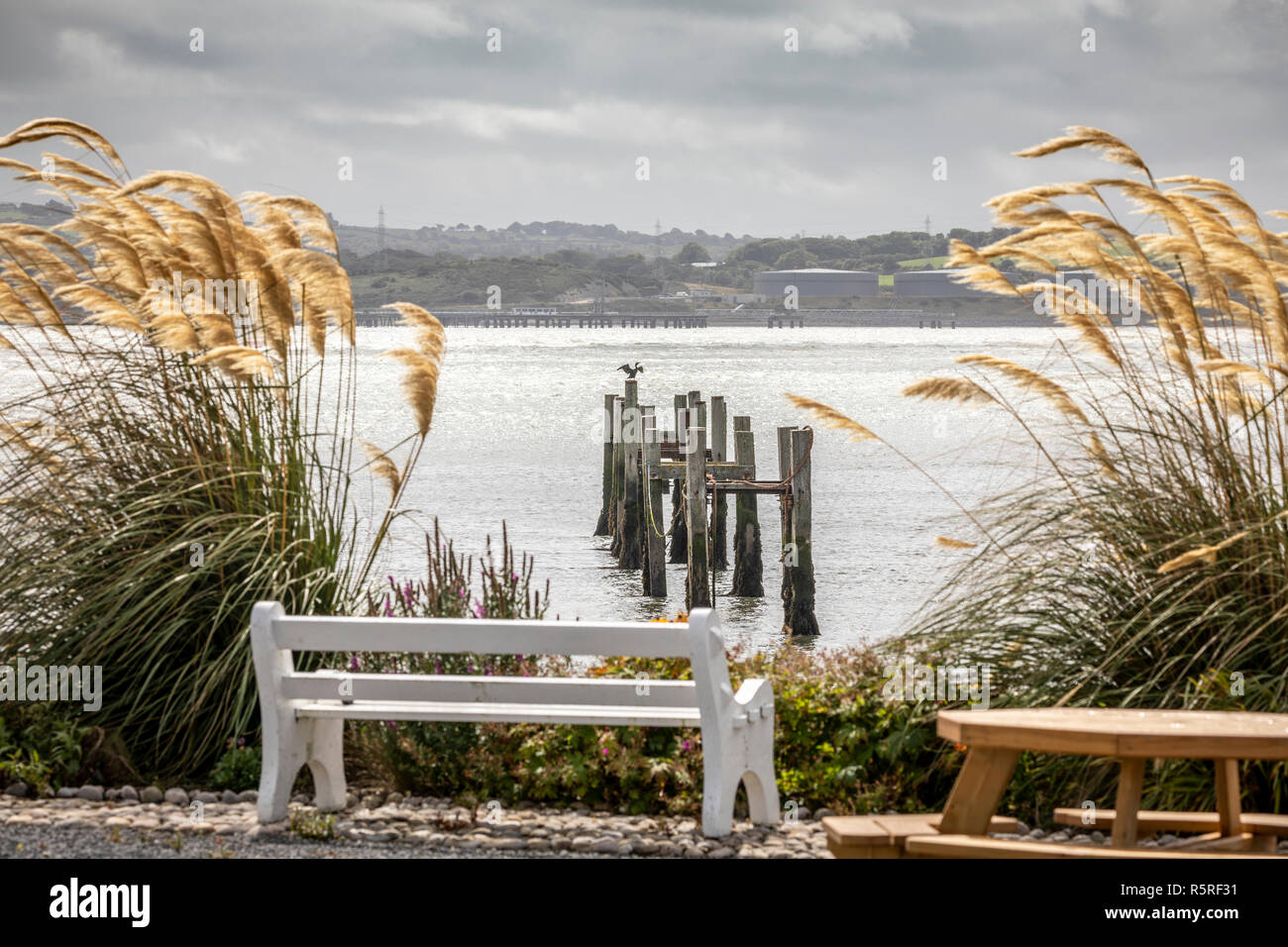 Killimer hi-res stock photography and images - Alamy