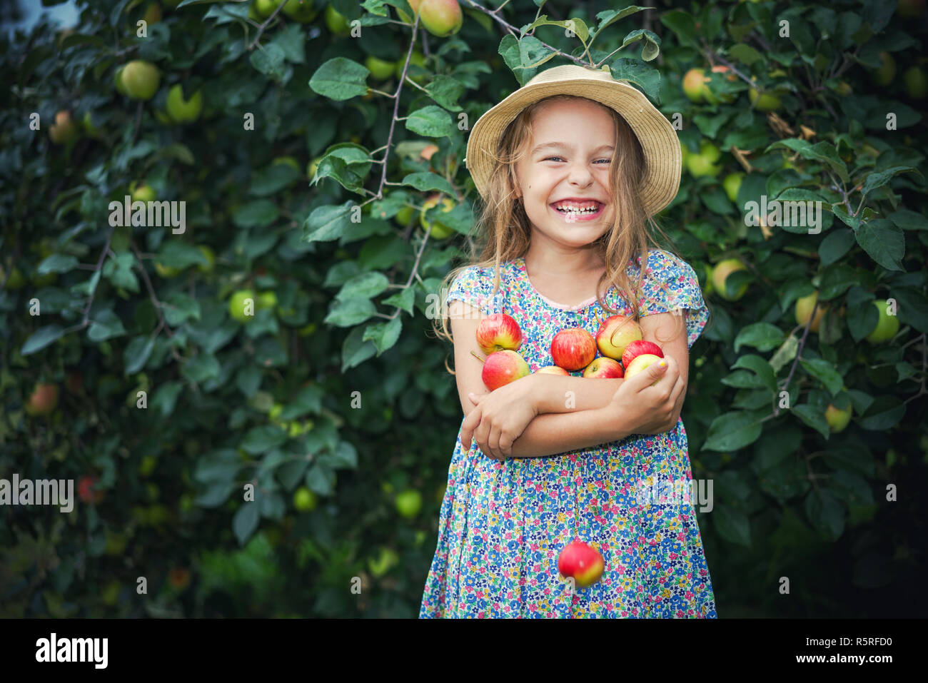 Little girl in the apple garden Stock Photo - Alamy