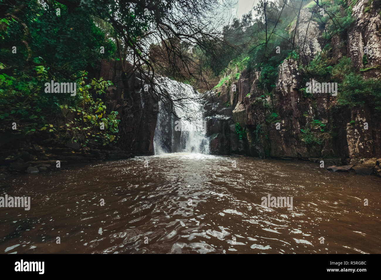 Photo of Waterfall mountain view close up. Mountain river waterfall ...