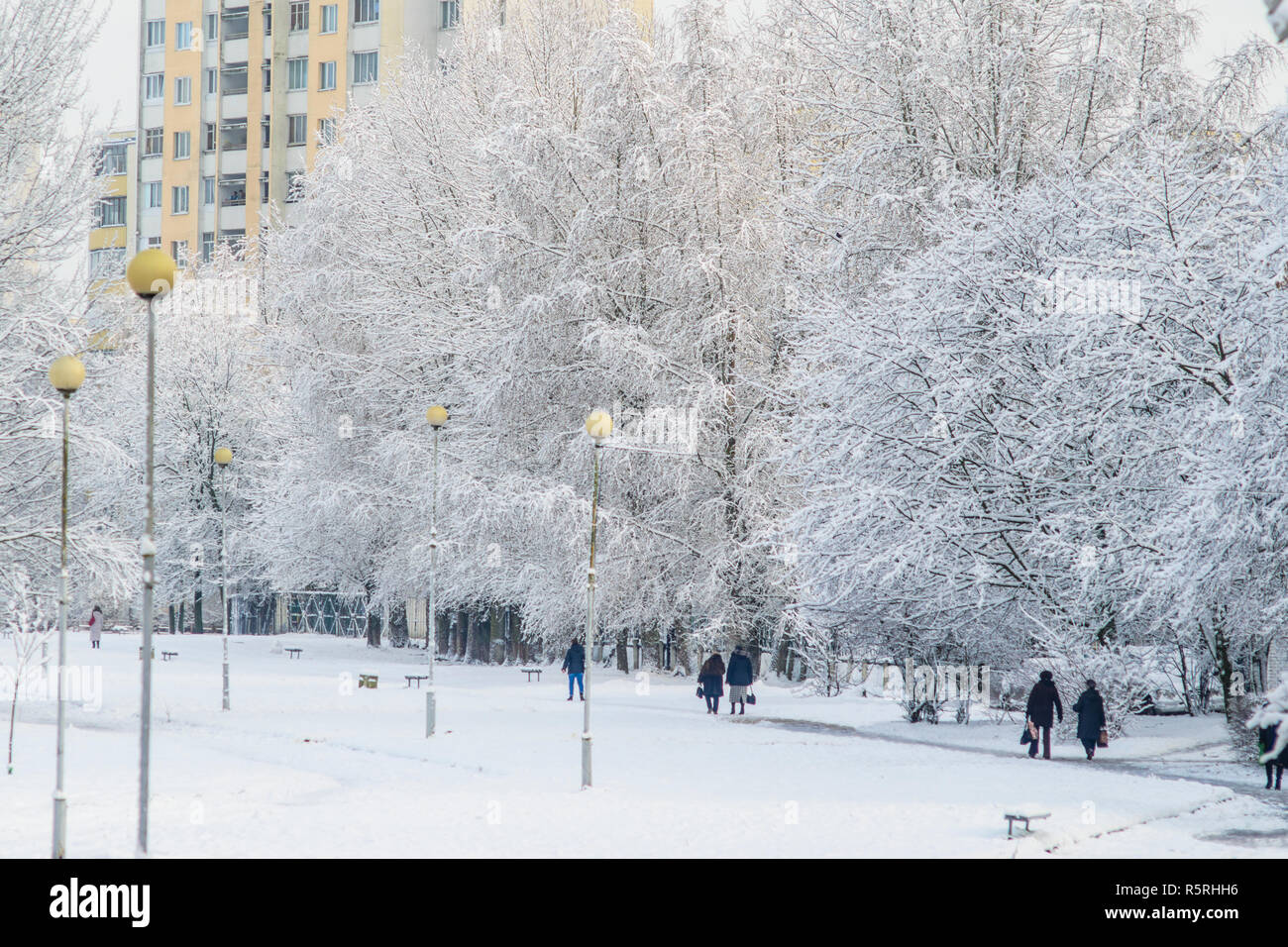 Winter cityscape in the park. People go about their business in the ...
