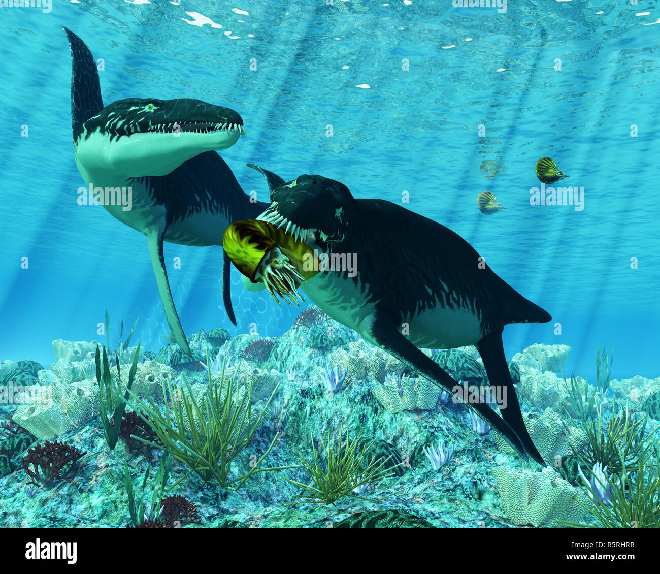 Liopleurodon liopleurodon hi-res stock photography and images - Alamy