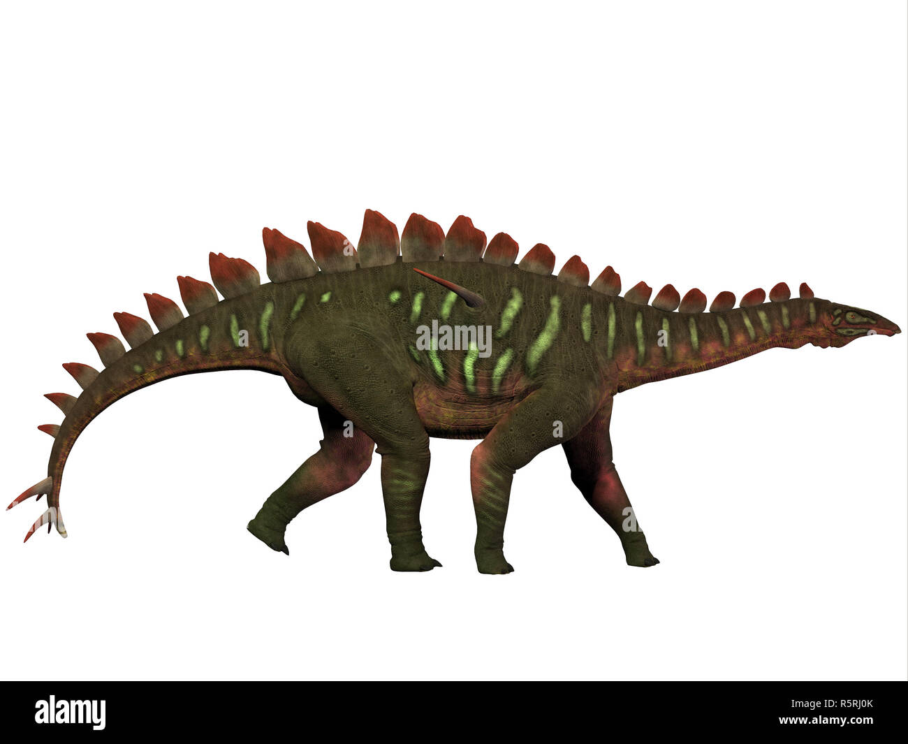 Miragaia hi-res stock photography and images - Alamy