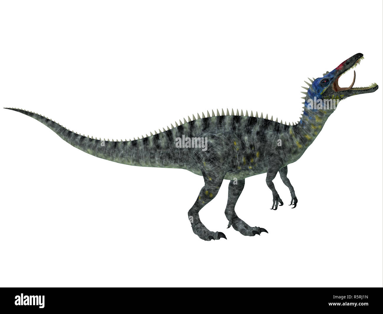 Suchomimus Cut Out Stock Images & Pictures - Alamy