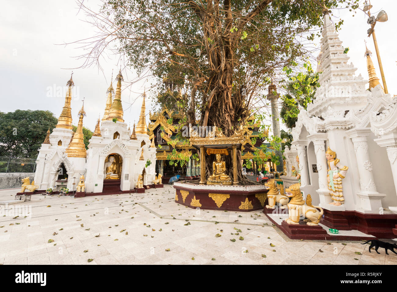 YANGON, MYANMAR - 16 NOVEMBER, 2018: Wide angle picture of charming ...