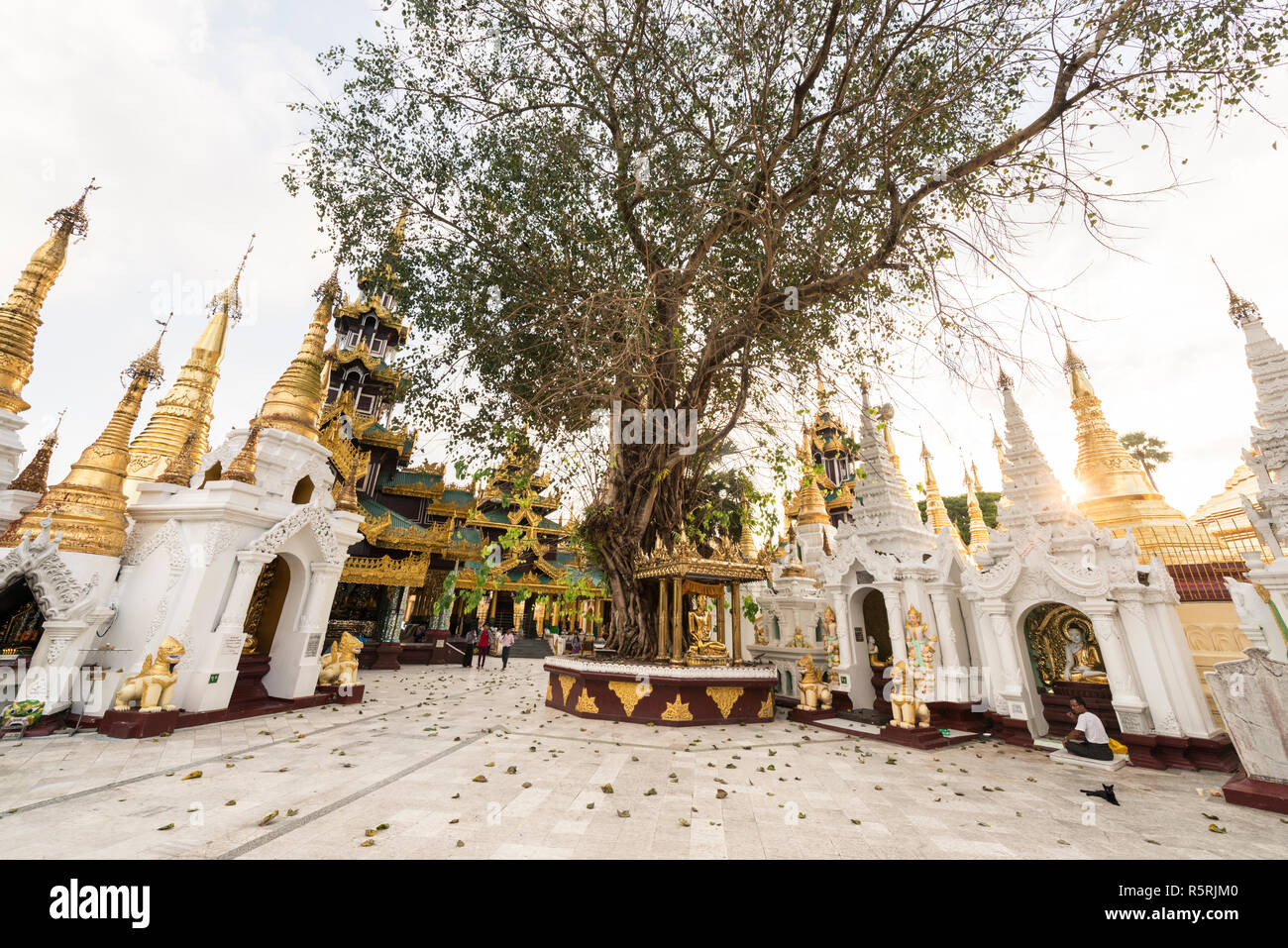 YANGON, MYANMAR - 16 NOVEMBER, 2018: Horizontal picture of charming ...