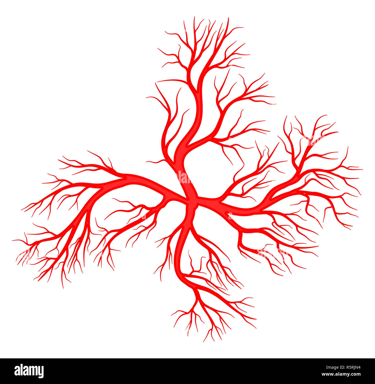 Human vein, vessel vector symbol icon design Stock Photo - Alamy