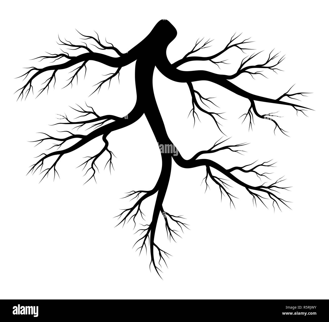 root silhouette vector symbol icon design Stock Photo - Alamy