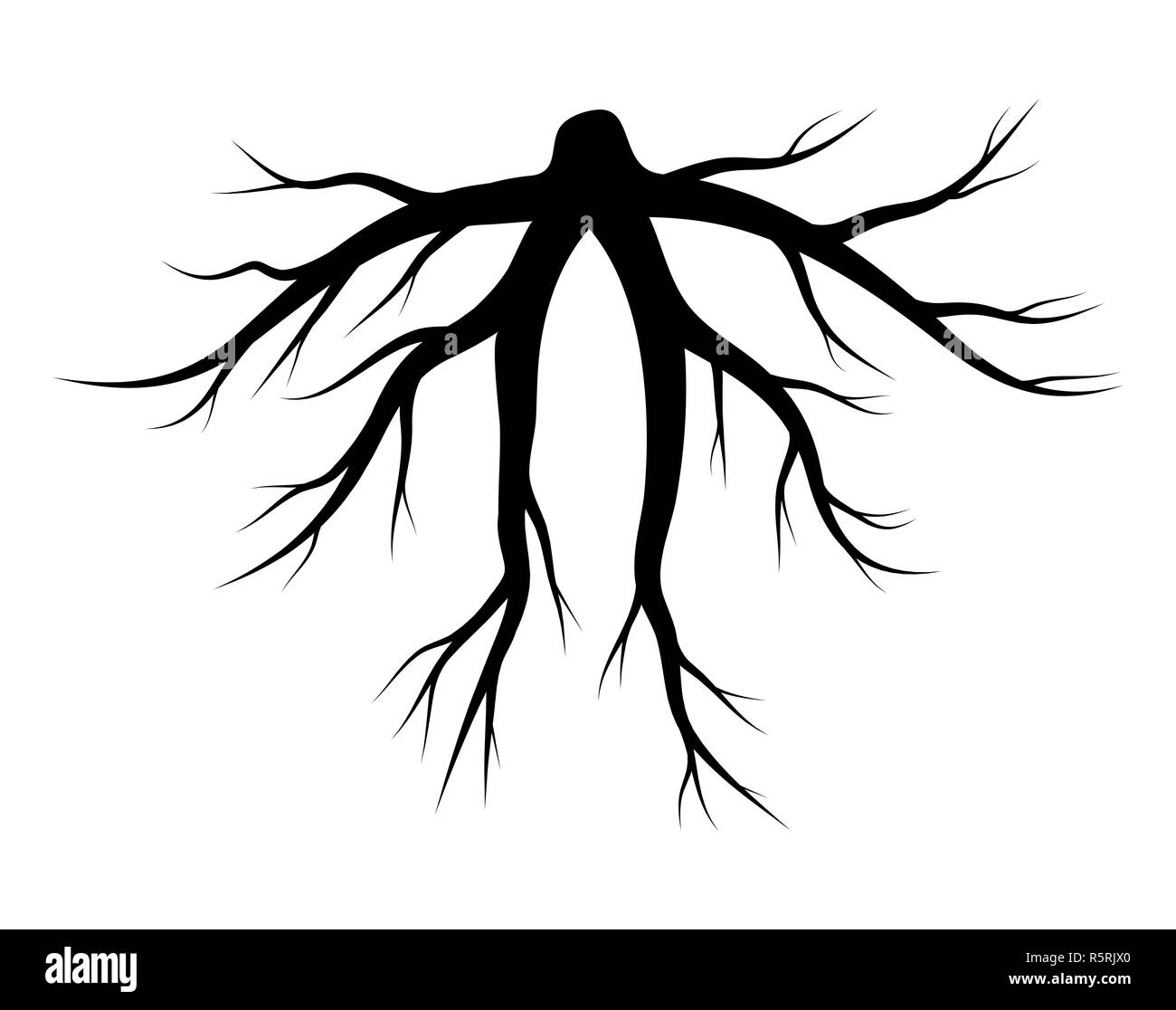 root silhouette vector symbol icon design Stock Photo - Alamy
