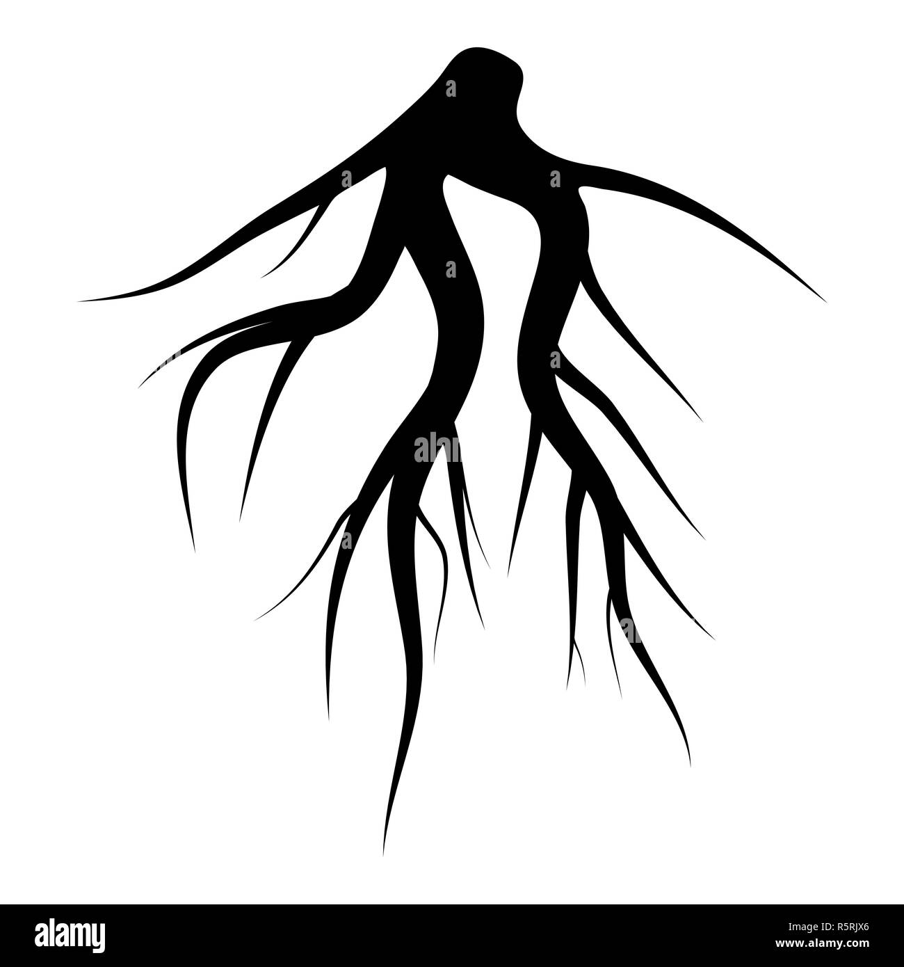 root silhouette vector symbol icon design Stock Photo - Alamy
