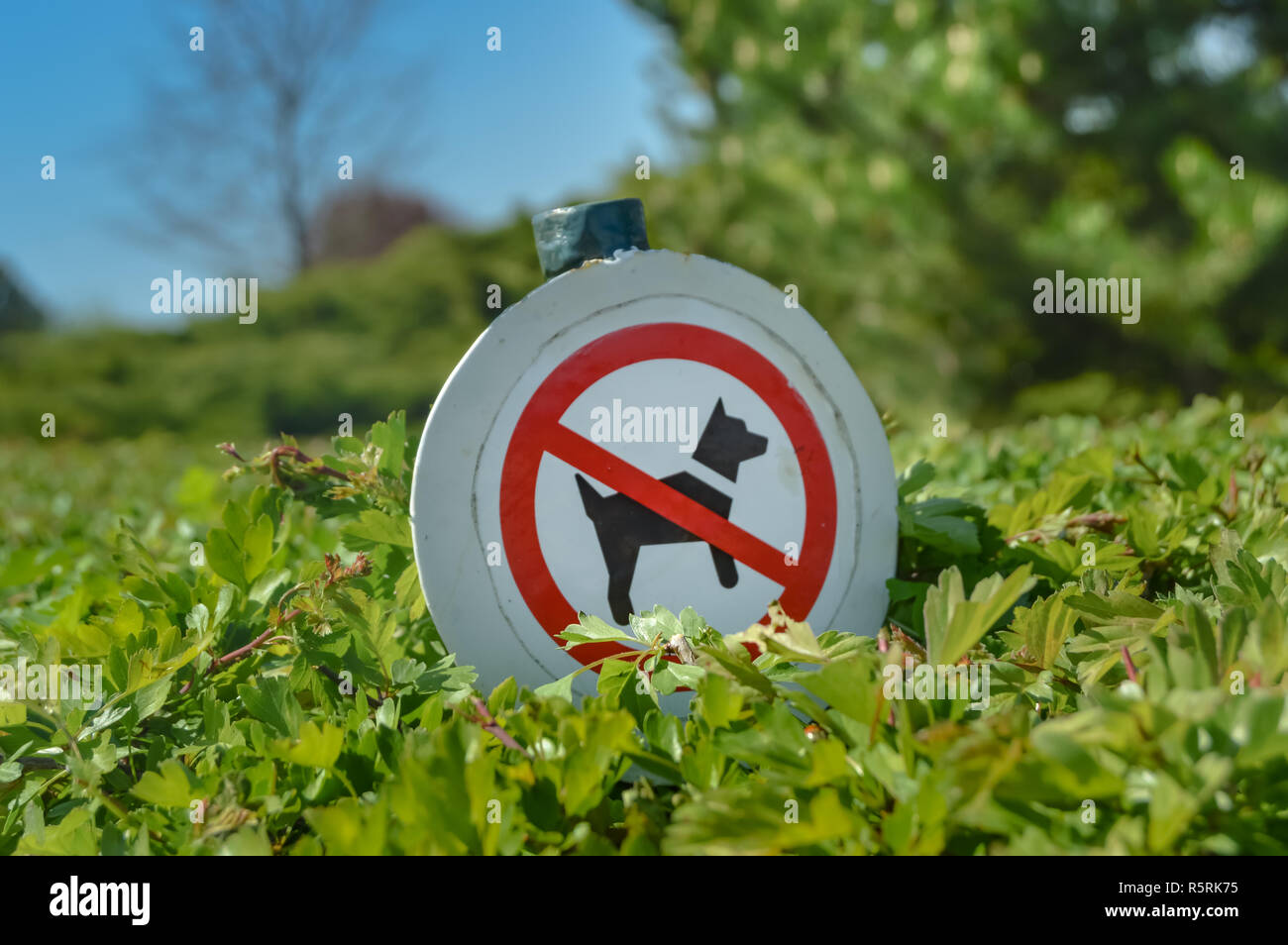 Barrier of the passage of dogs Stock Photo - Alamy