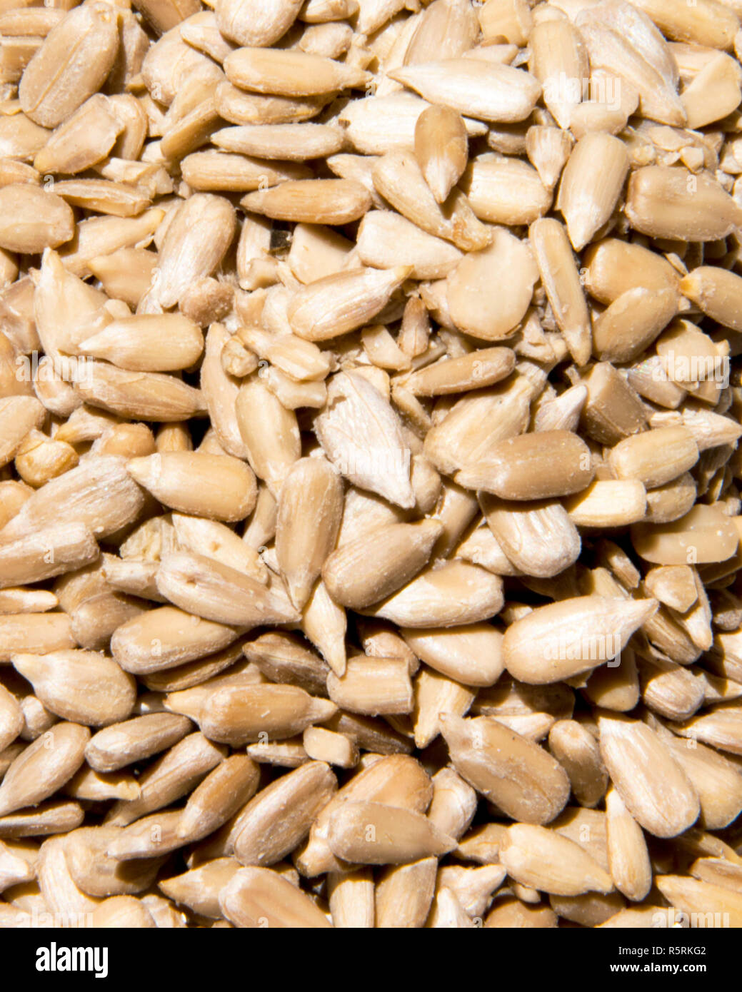 sunflower seeds peeled background photo. Beautiful picture, background ...