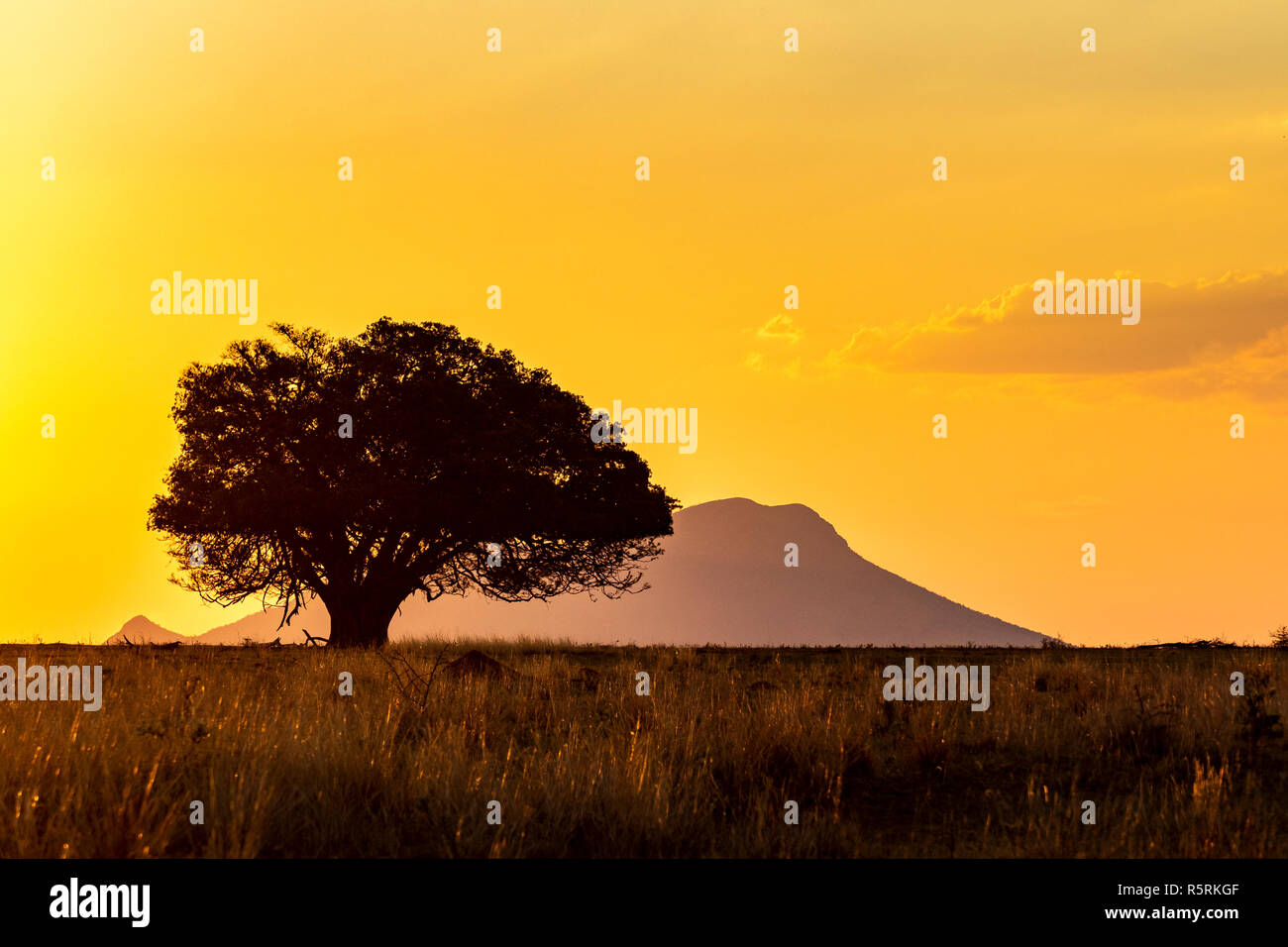 Sunset Dabchick Game Reserve, Waterberg Region. Limpopo Province, South ...
