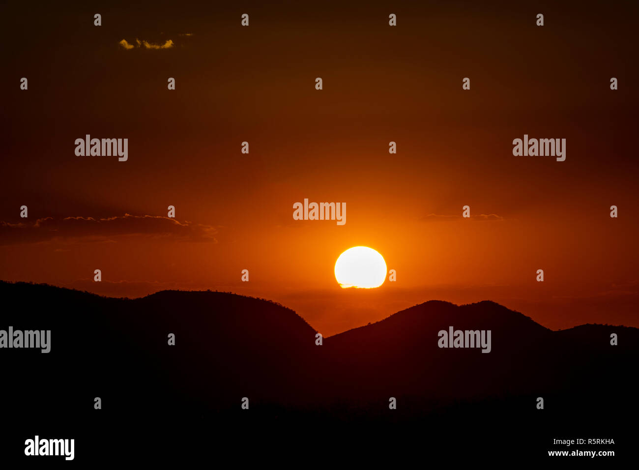 Dabchick Game Reserve, Waterberg Region. Limpopo Province, South Africa ...