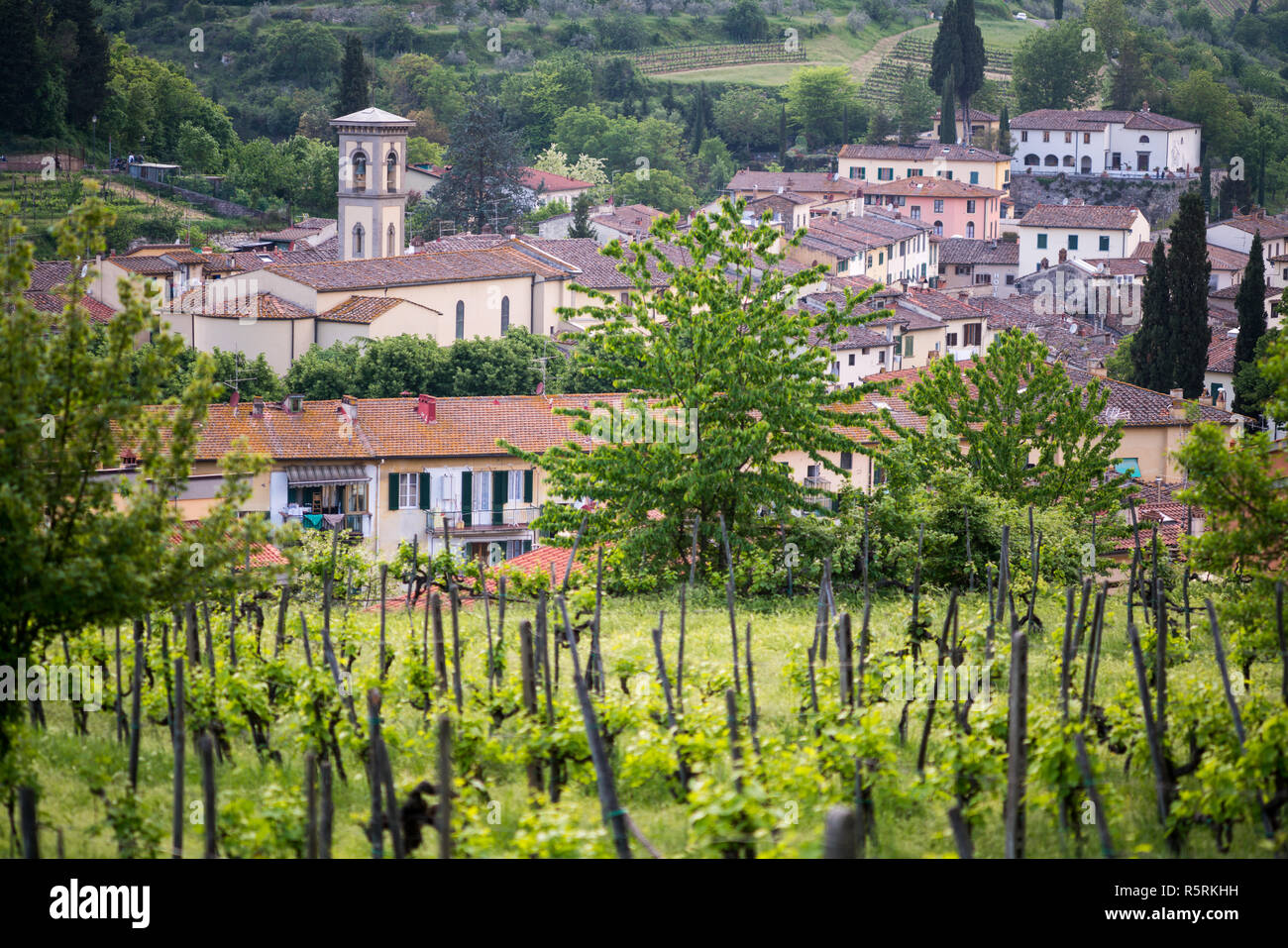 Vineyard in the Chianti, Tuscany, Italy, Europe Stock Photo - Alamy