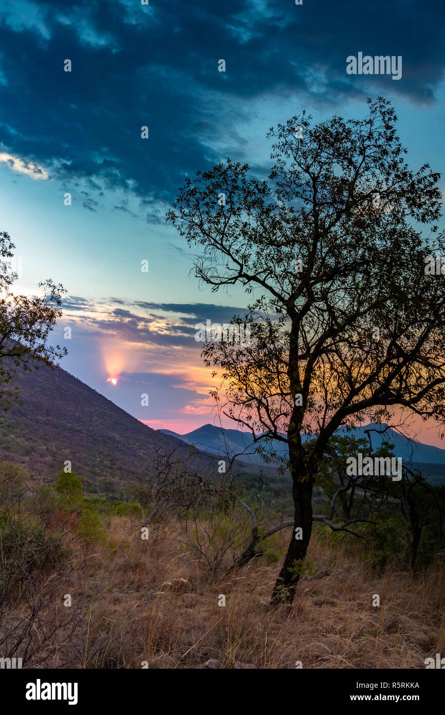 Sunset Dabchick Game Reserve, Waterberg Region. Limpopo Province, South ...