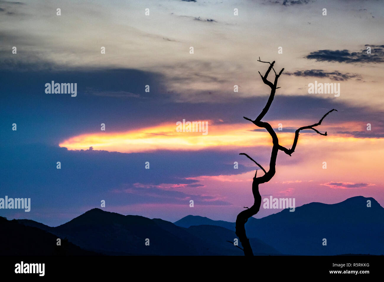 Sunset Dabchick Game Reserve, Waterberg Region. Limpopo Province, South ...