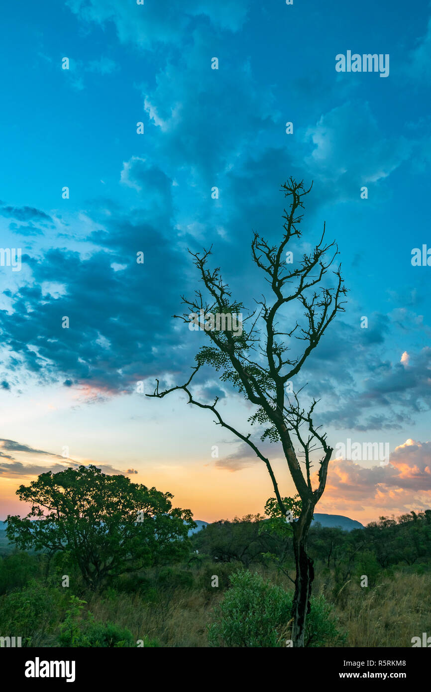 Sunset Dabchick Game Reserve, Waterberg Region. Limpopo Province, South ...