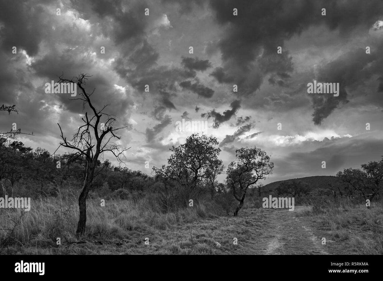 Sunset Dabchick Game Reserve, Waterberg Region. Limpopo Province, South ...