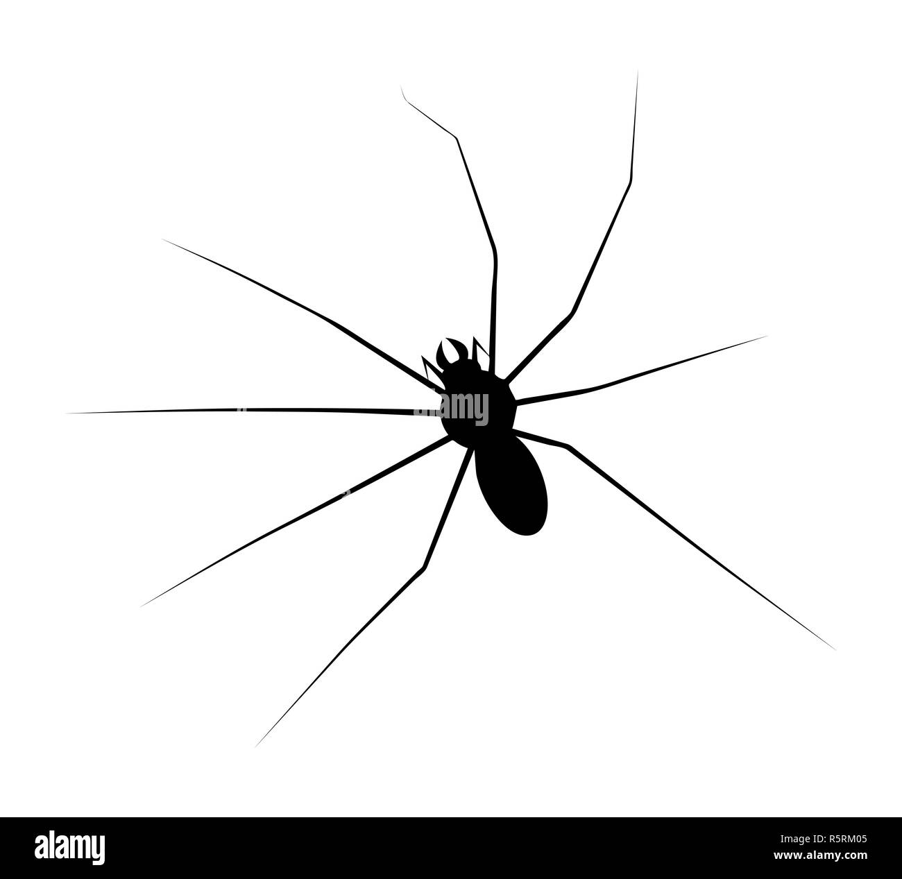 Halloween creepy poster spider Black and White Stock Photos & Images ...