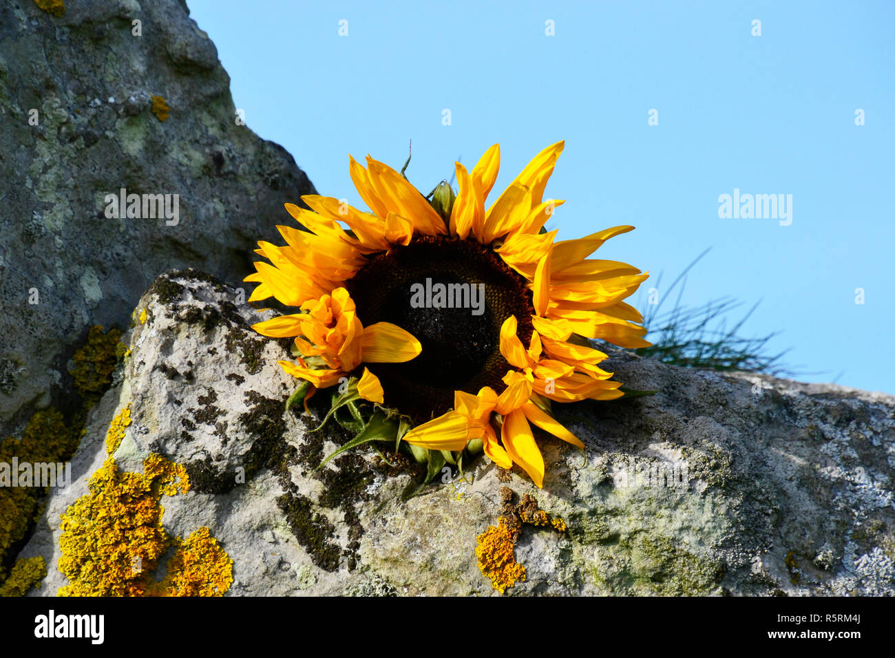 Sun henge hi-res stock photography and images - Alamy