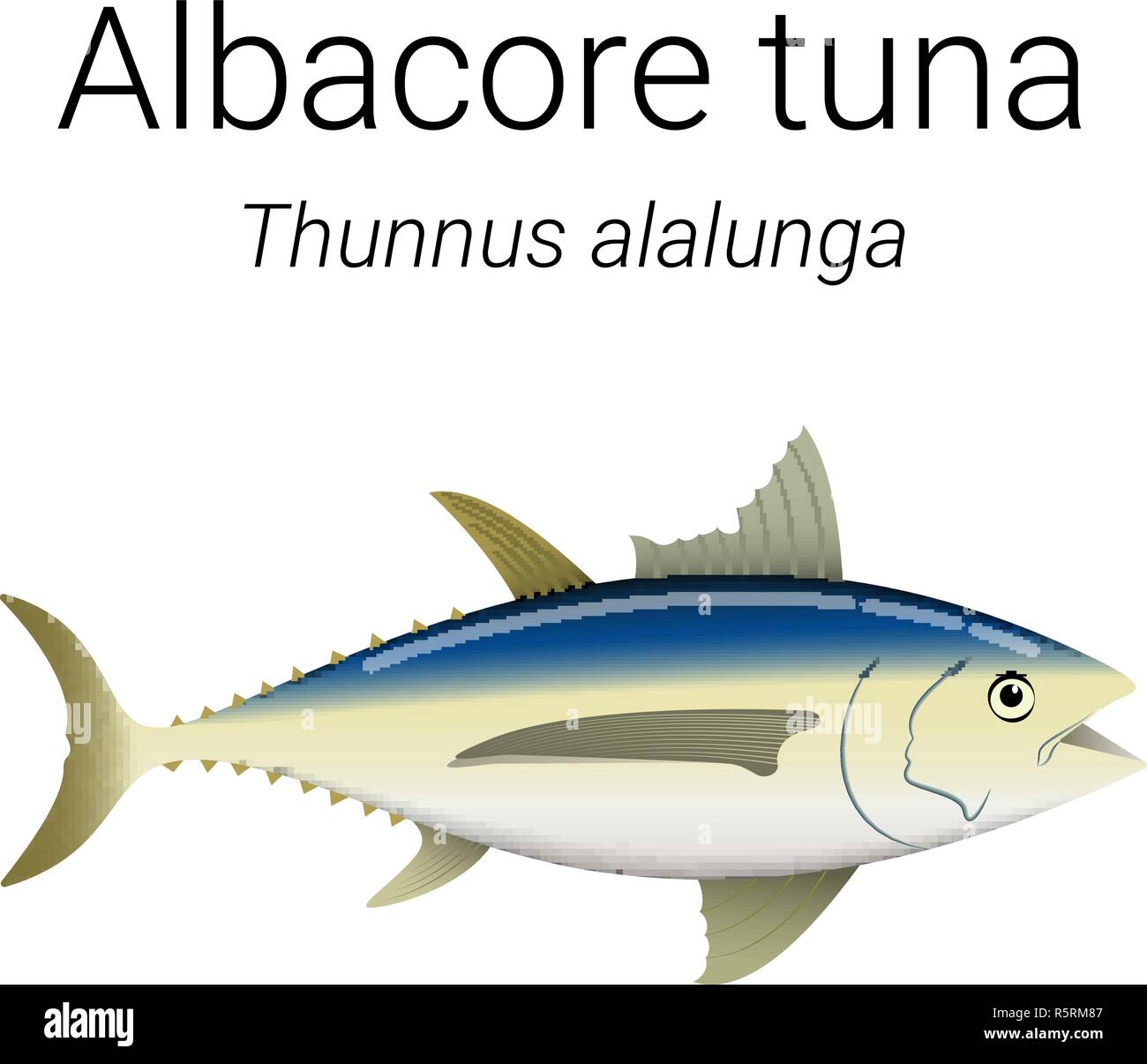 Fishes oceans saltwater Stock Vector Images - Alamy