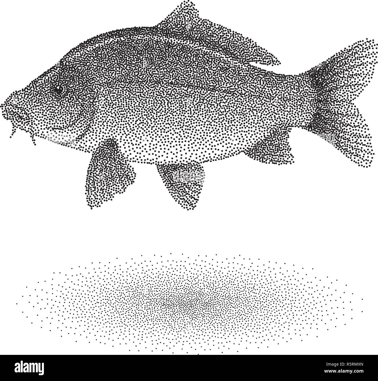 Carp australia Stock Vector Images - Alamy