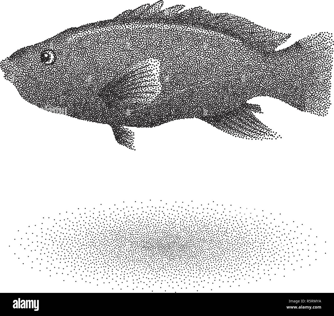 Blue groper Stock Vector Images - Alamy