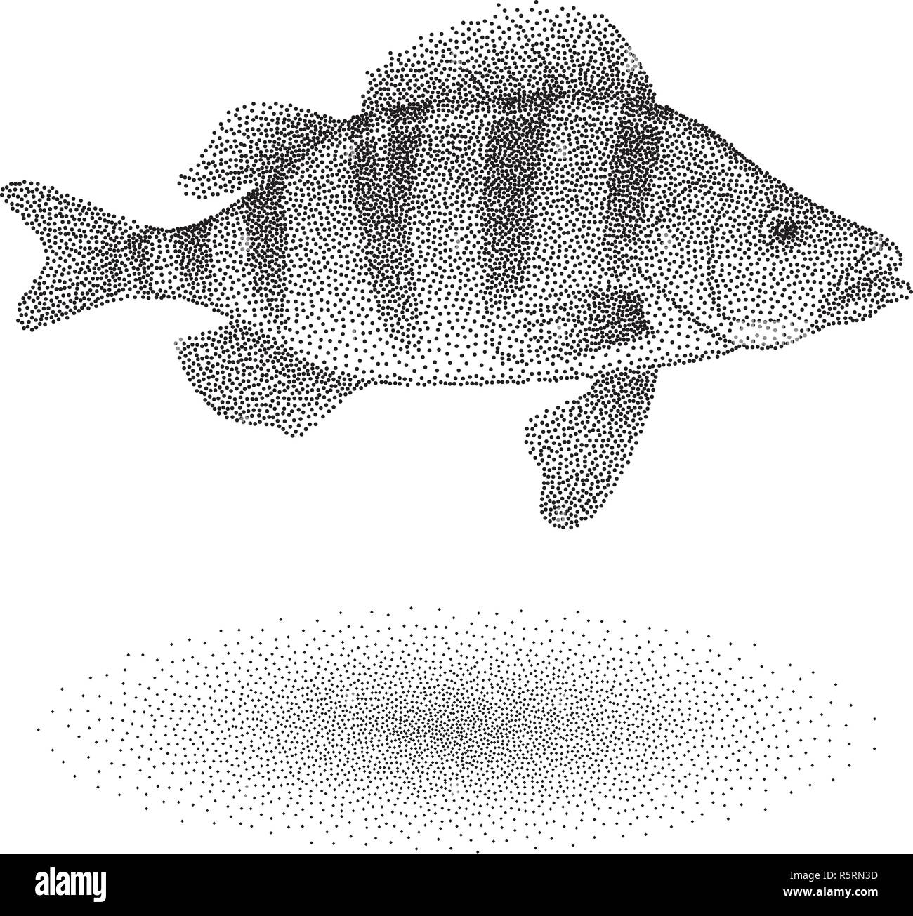 Redfin fish with stipple effect in black and white Stock Vector Image ...