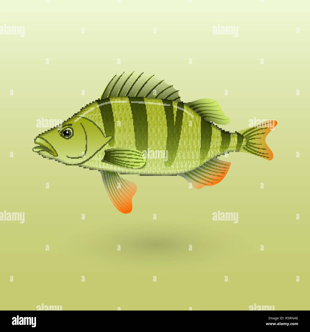 Redfin on colored background illustration Stock Vector Image & Art - Alamy