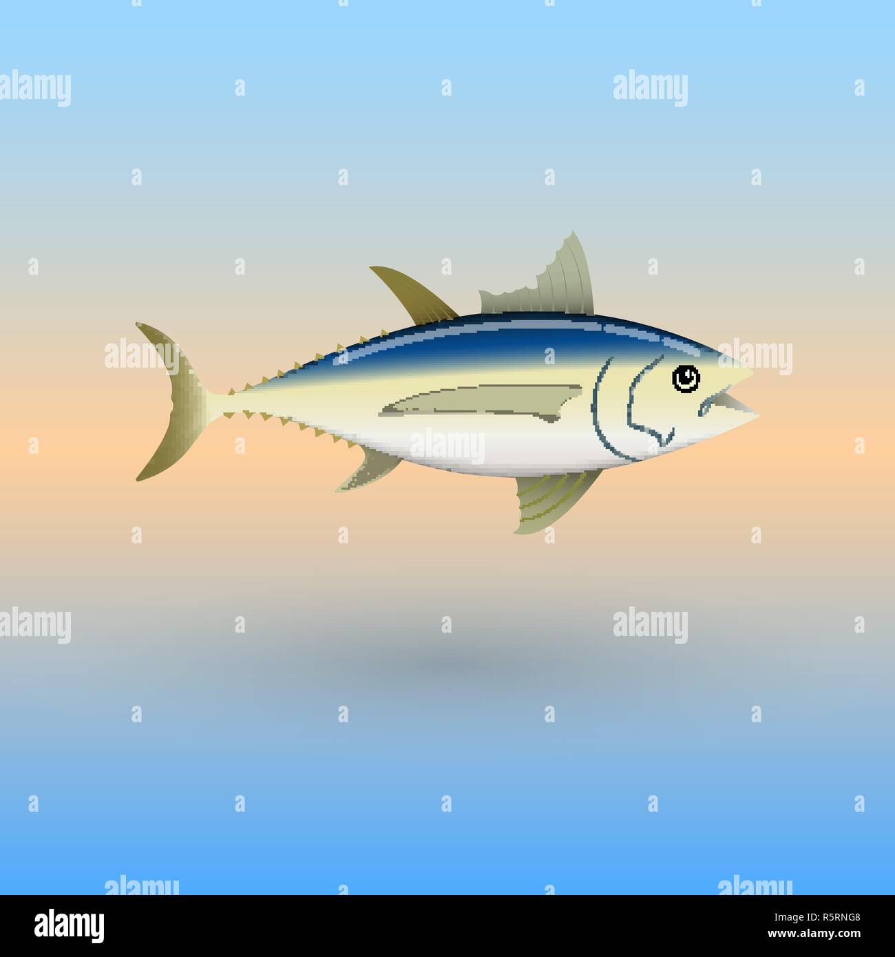 Albacore tuna fish illustration Stock Vector Image & Art - Alamy