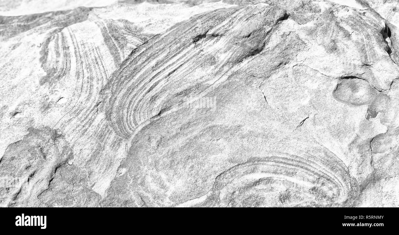 abstract background texture of the rock in the nature and empty space ...