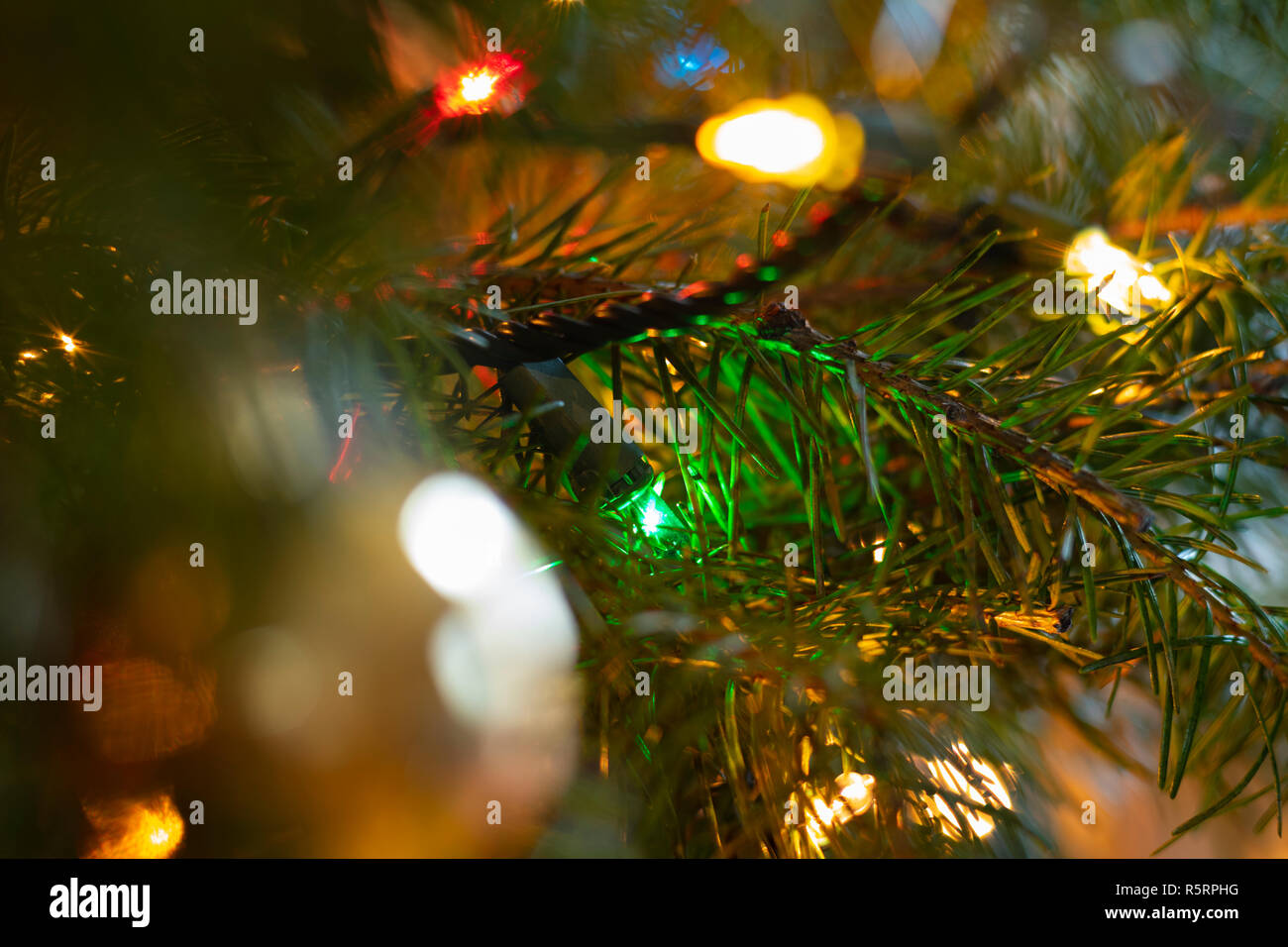 Light emitting diode christmas lights hi-res stock photography and ...