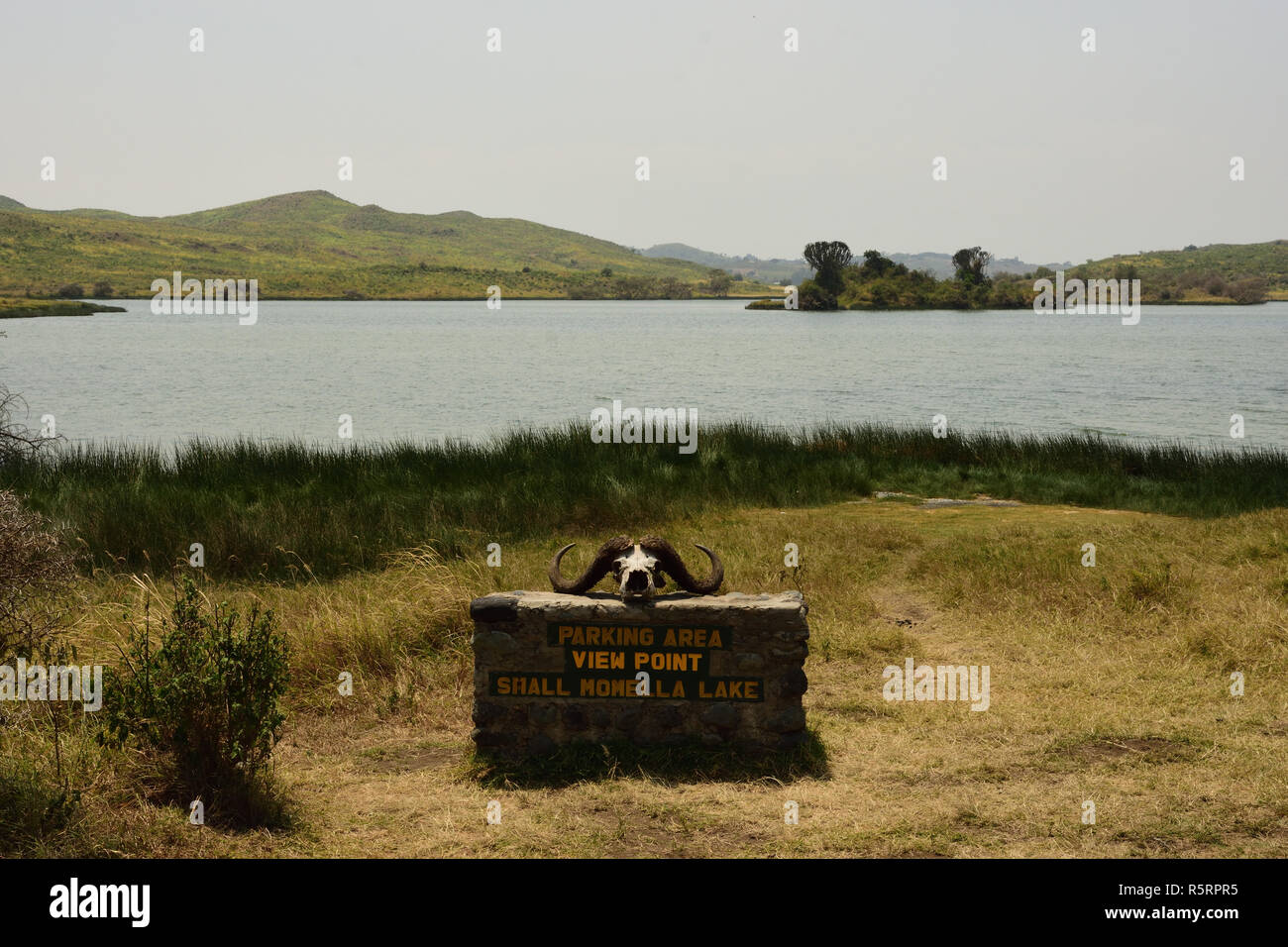 momela lake tanzania Stock Photo - Alamy