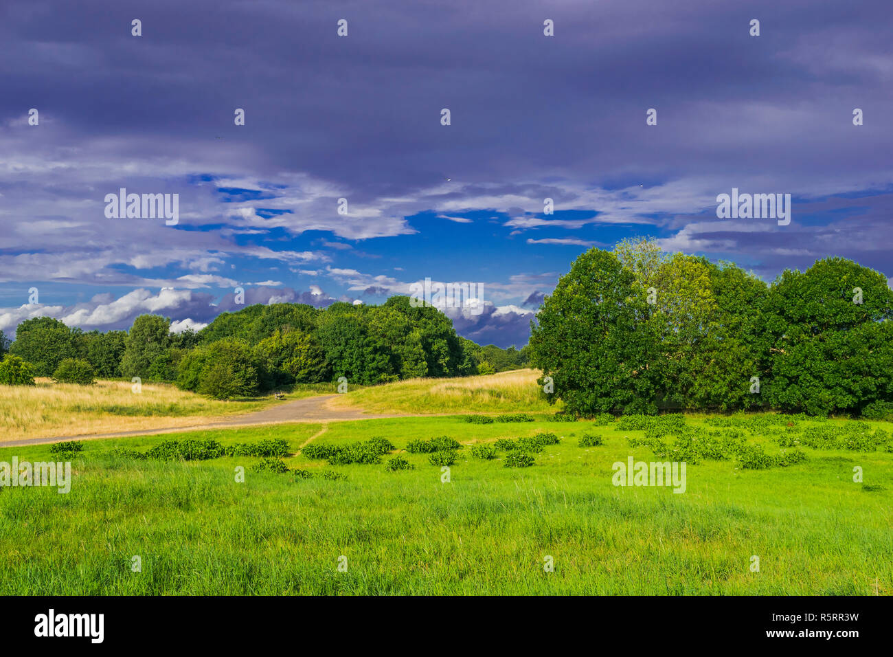 Panorama view of beautiful summer park Stock Photo - Alamy