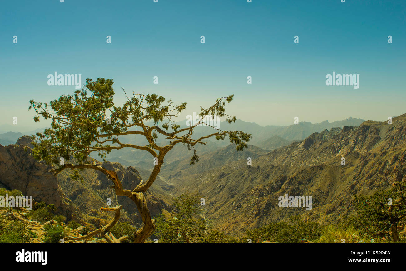 Al Hada Mountain in Taif City Stock Photo - Alamy