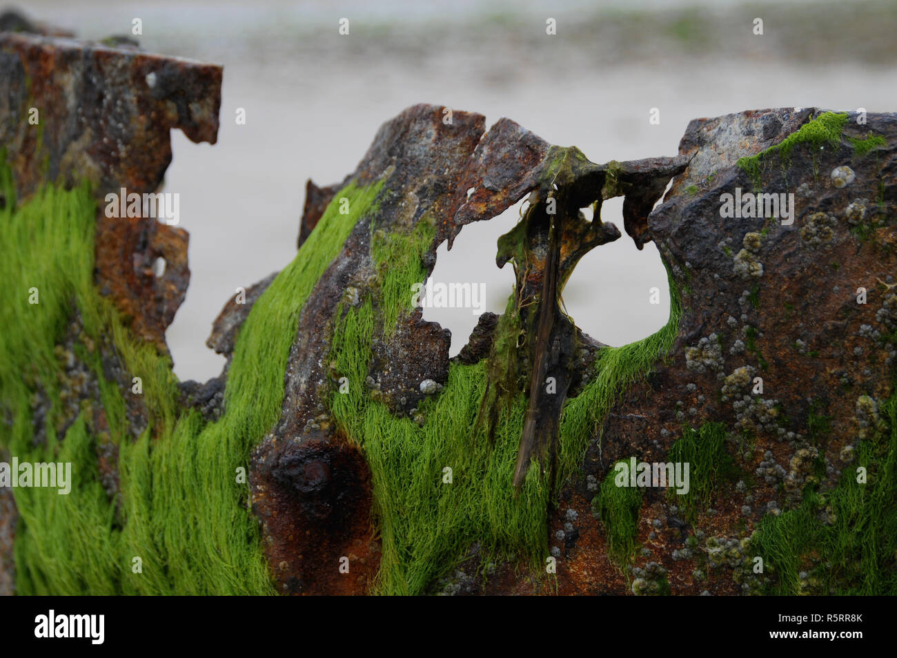 Stages of rust hi-res stock photography and images - Alamy