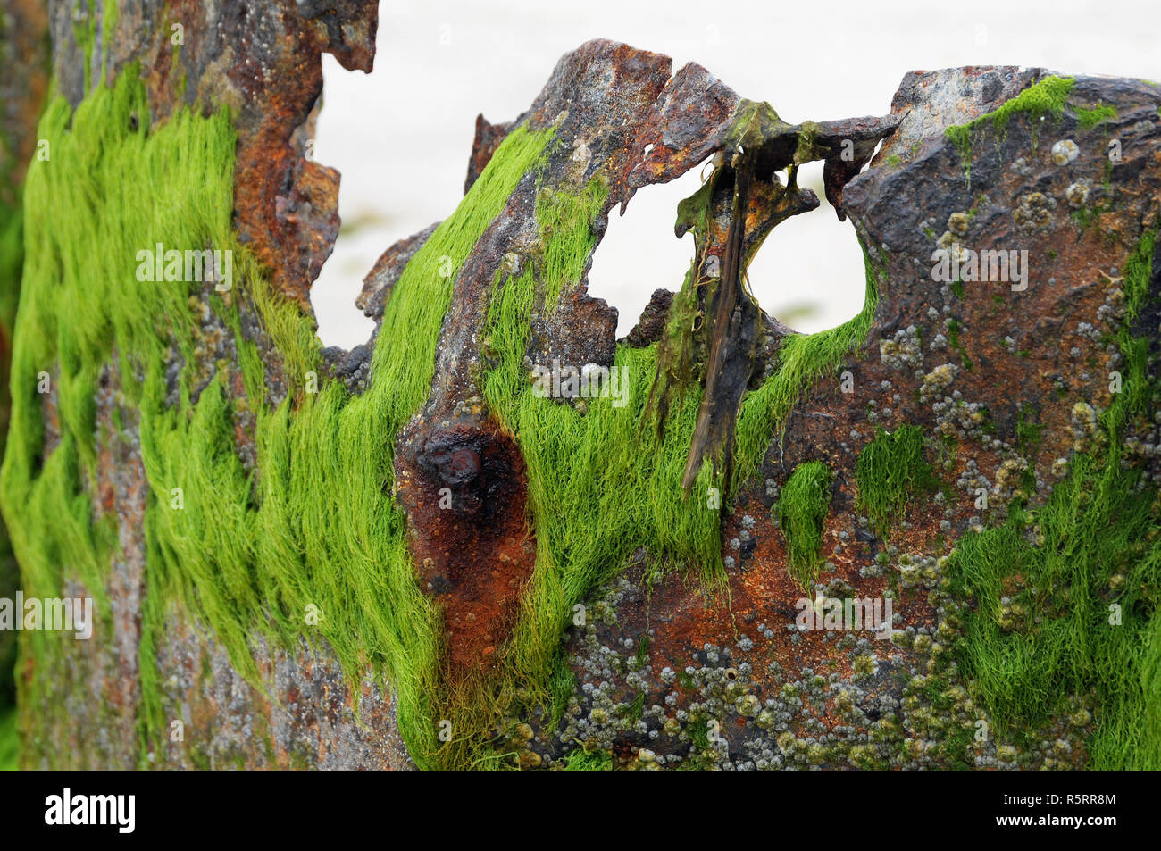 Stages of rust hi-res stock photography and images - Alamy