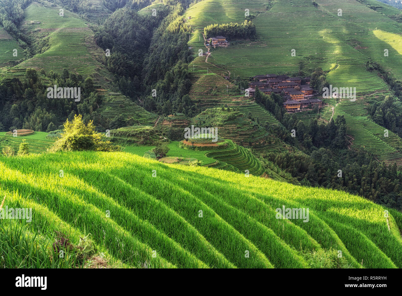Longi rice terraces hi-res stock photography and images - Alamy