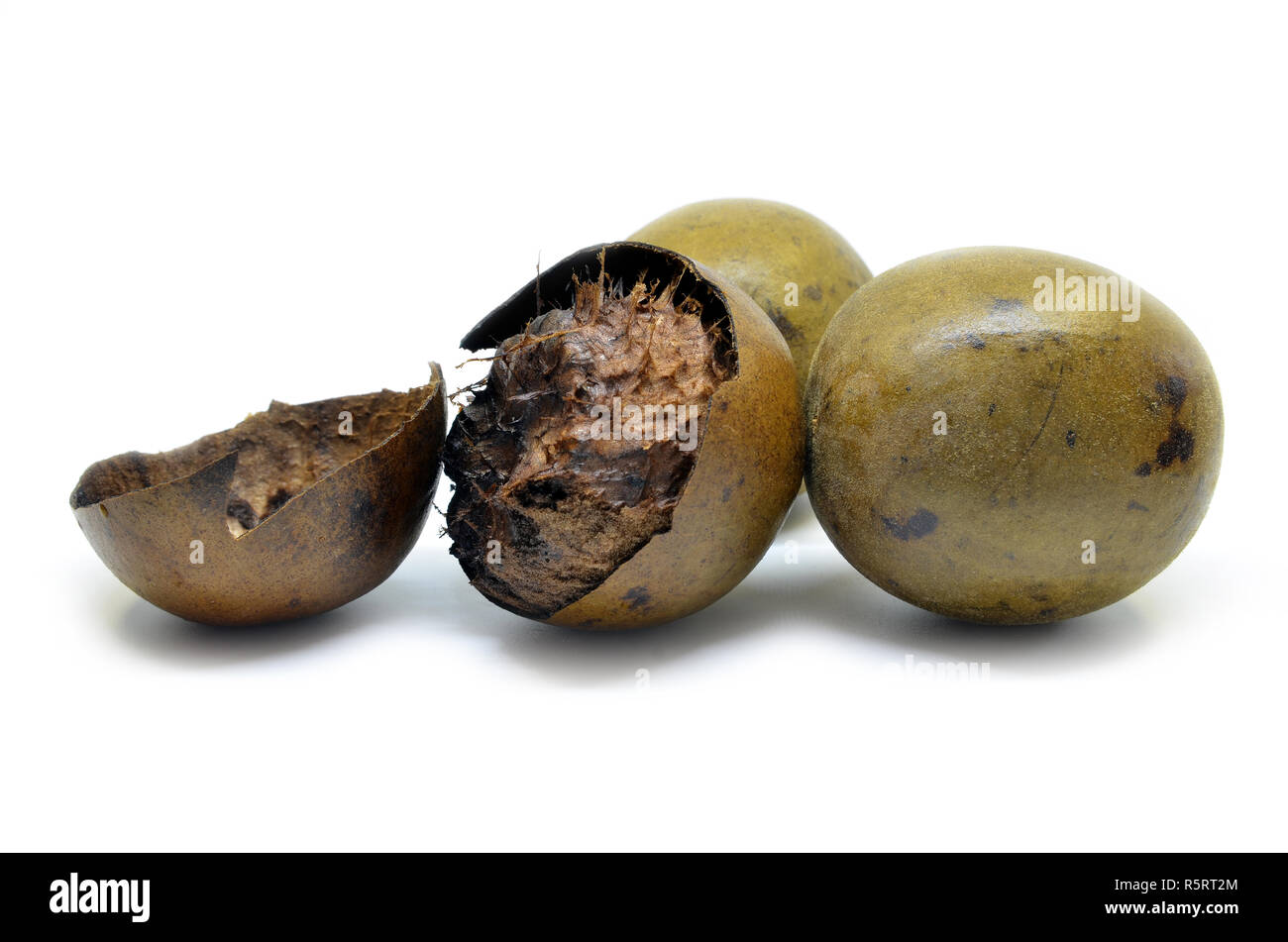 Lo Han Guo, Monk or Buddha fruit Stock Photo - Alamy