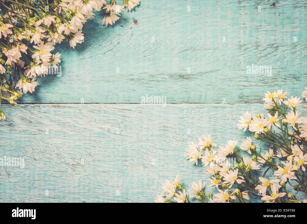 White flowers on blue wooden background. Festive greeting card top with ...