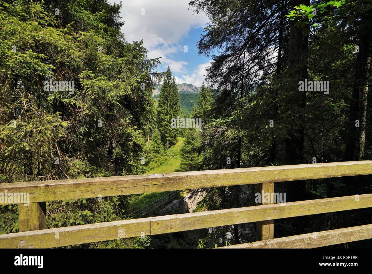 bridge in the tyrolean alps Stock Photo - Alamy