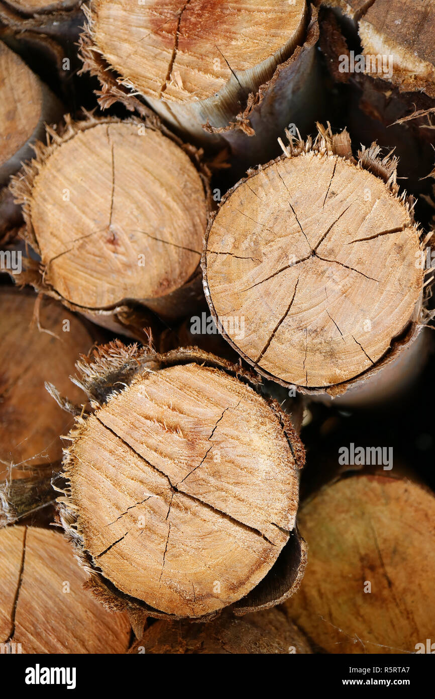 Vertical image of pile of the cut logs for texture or background Stock ...