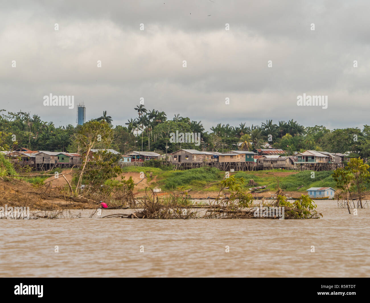 Village on bank of the Amazon river and floating trees during the low ...