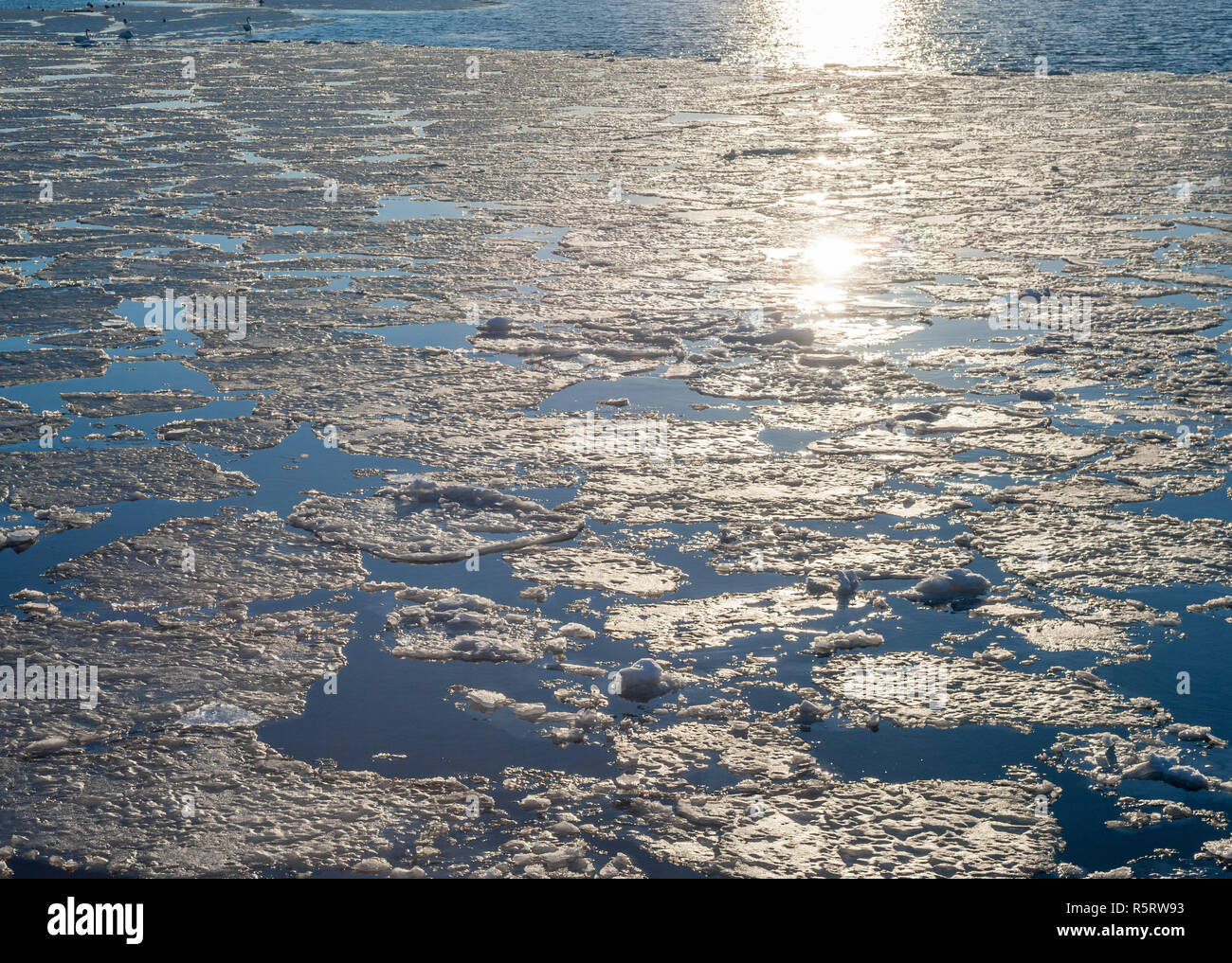 Melting ice sheet on water reflecting sunlight Stock Photo - Alamy