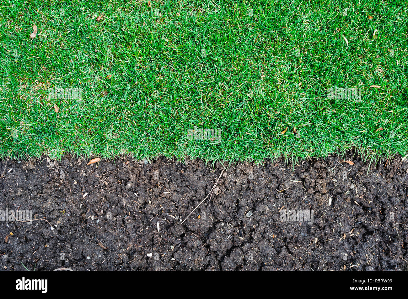 Edge planting of grass hi-res stock photography and images - Alamy