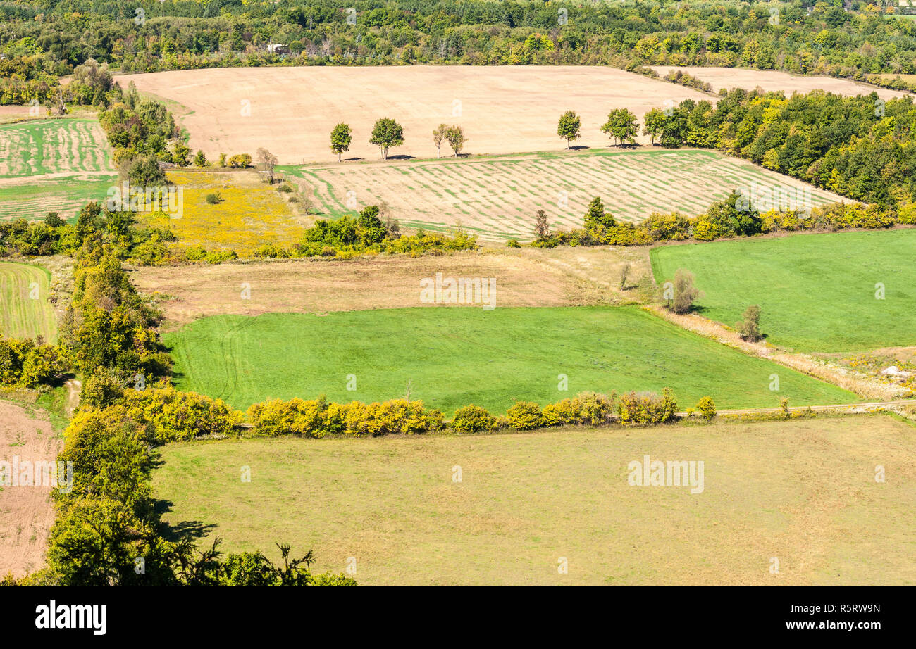 Empty farm fields bordered by tree lines Stock Photo - Alamy