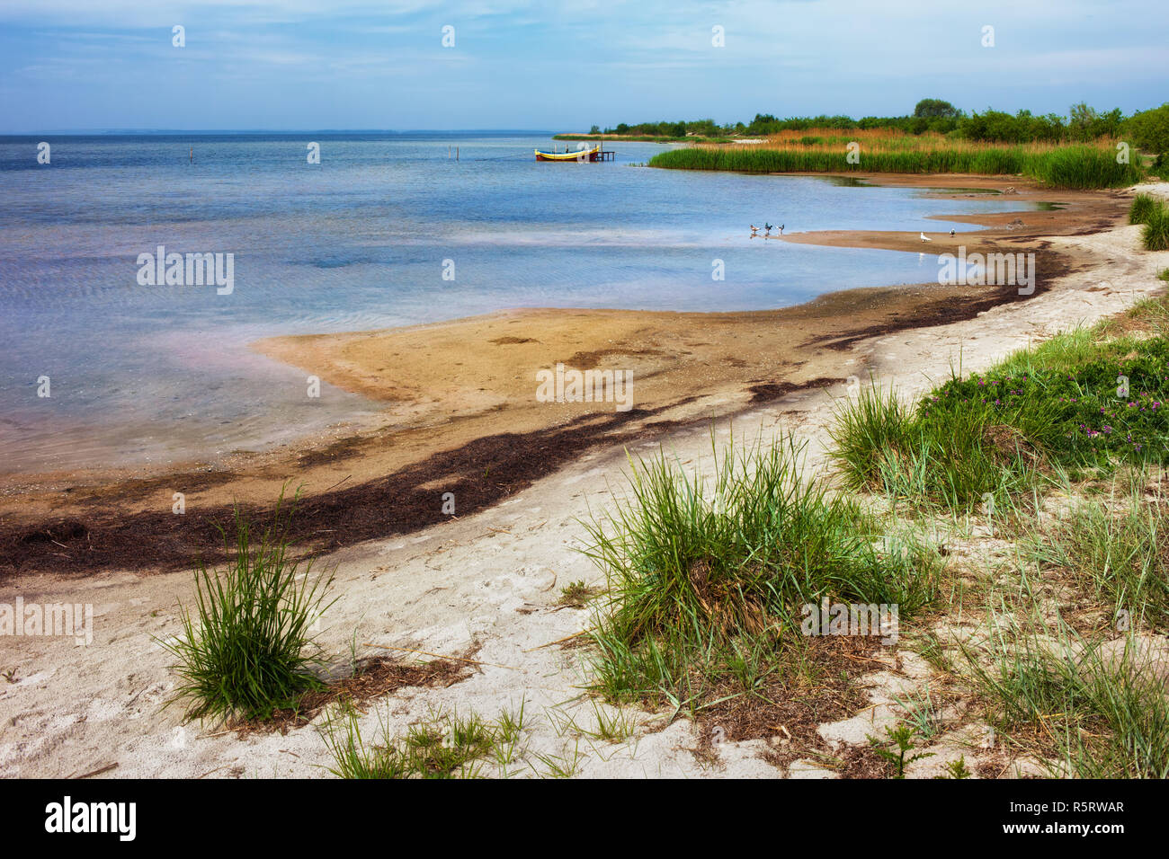 Baltic peninsula hi-res stock photography and images - Alamy