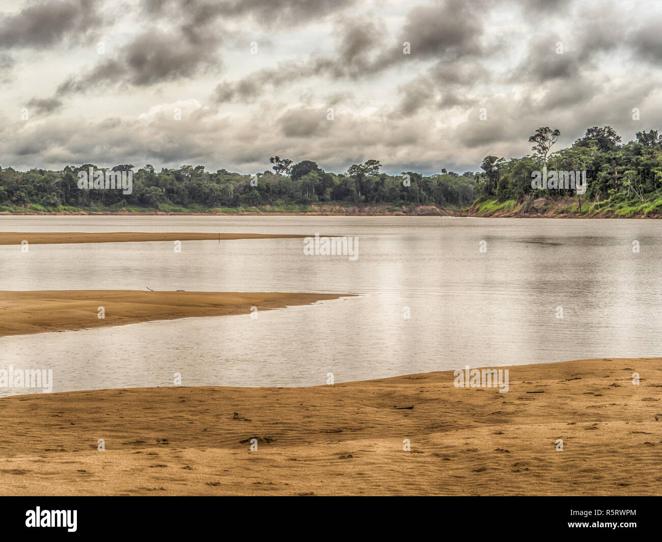 Beautiful sandy beach in Amazon jungle, during the low water season ...