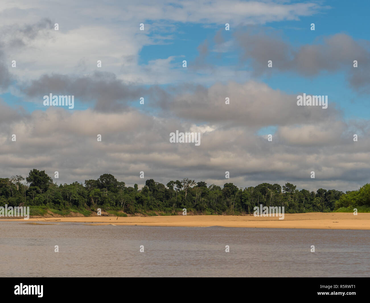 Beautiful sandy beach in Amazon jungle, during the low water season ...