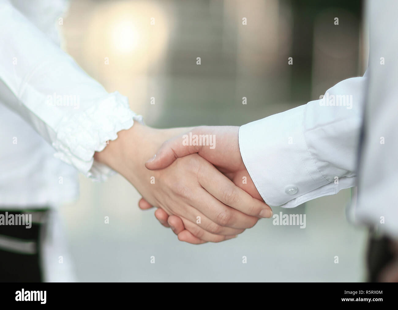welcoming handshake of a Manager and the customer in the office Stock ...